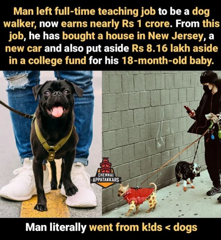 Man, Who Left Full-Time Teaching Job To Walk Dogs, Makes Rs 1 Crore ...