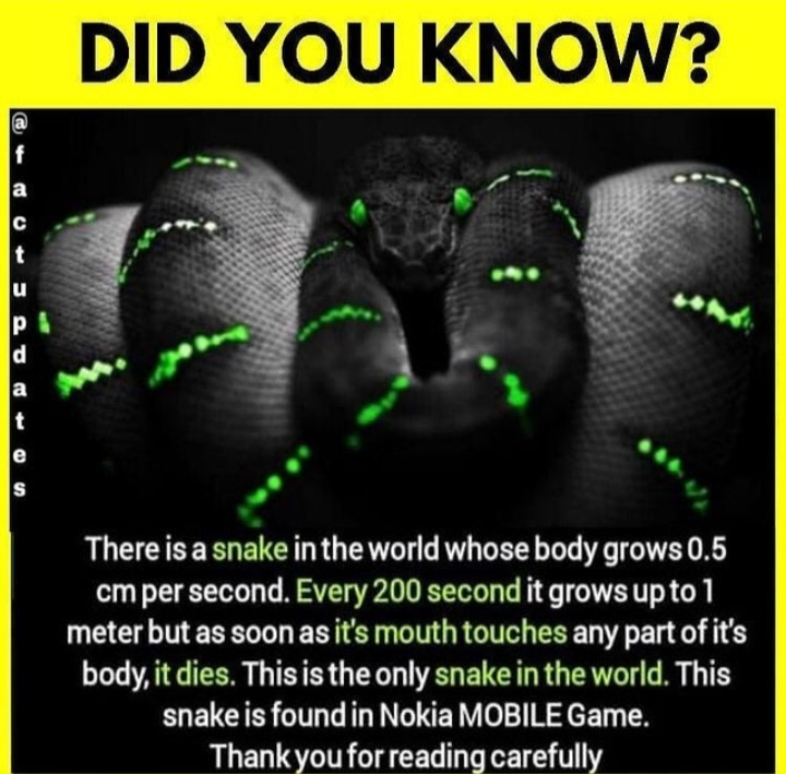 A Snake That Grows 0.5cm Every Second!!! - Naveena Ulavan