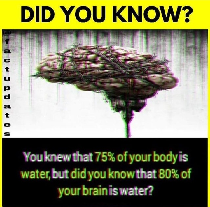 The Water in You: Water and the Human Body - Naveena Ulavan