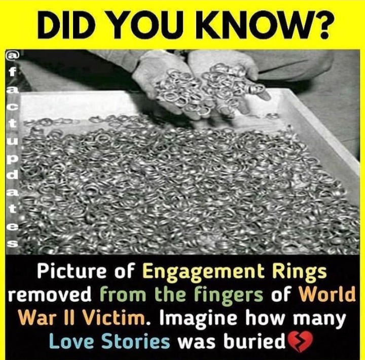Does This Photo Show Wedding Rings Taken from Holocaust Victims ...